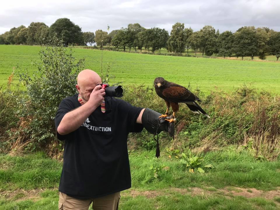 Hawk Walks – Shropshire Falconry