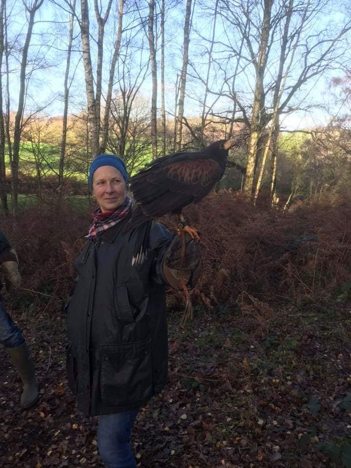 Hawk Walks – Shropshire Falconry