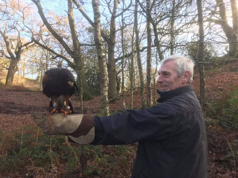 Hawk Walks – Shropshire Falconry
